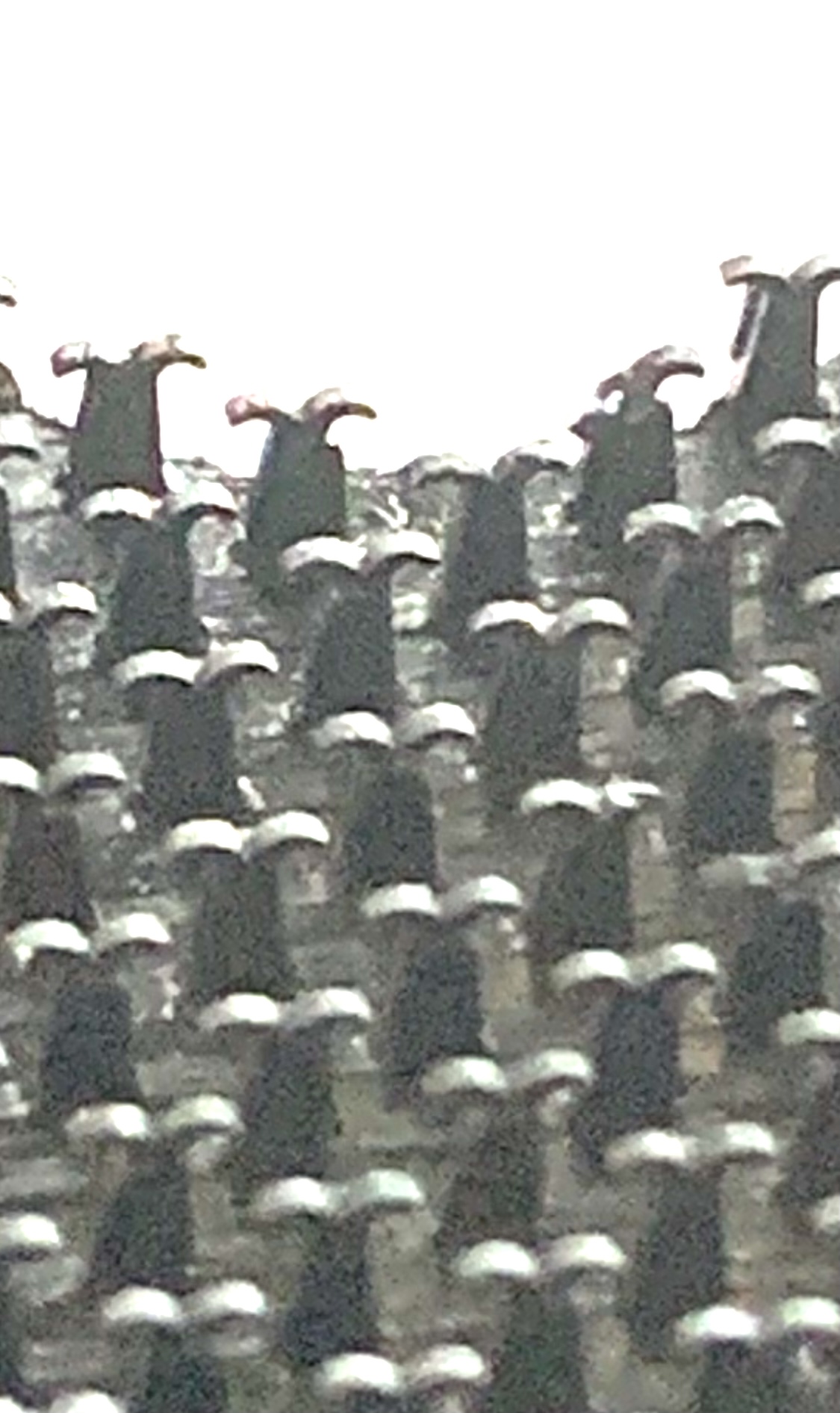 Resin Pad Holder – Twin Max Tools Corp